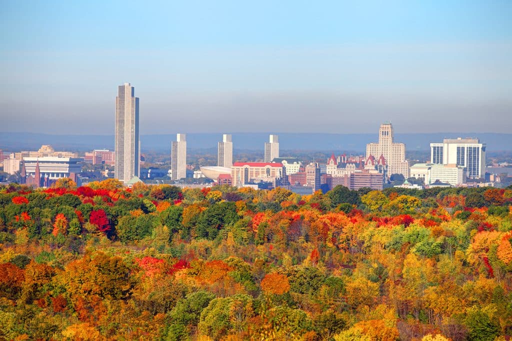Ways to View The Fall Colors in Albany, NY – Embrace Orthodontics